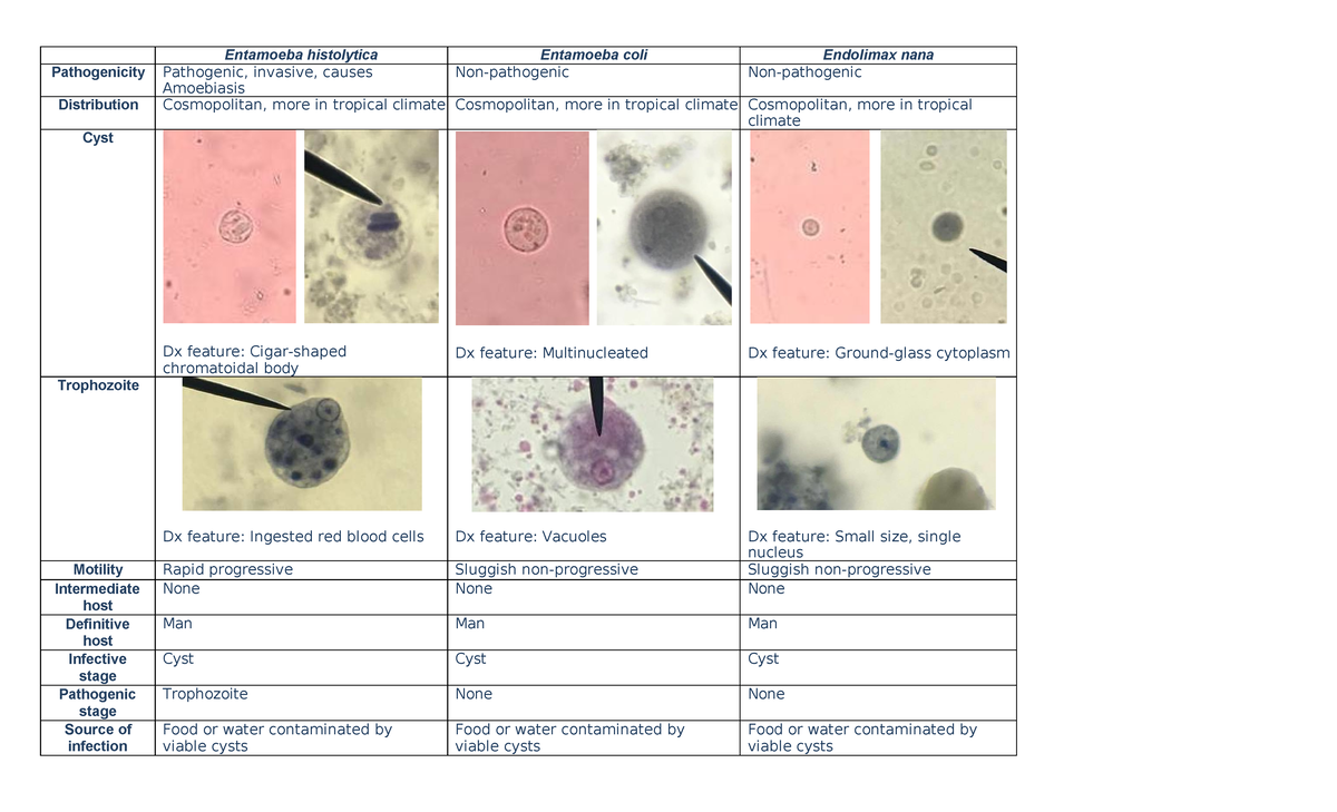 Pathogenicity and Transmission of Intestinal Protozoa and Helminths ...