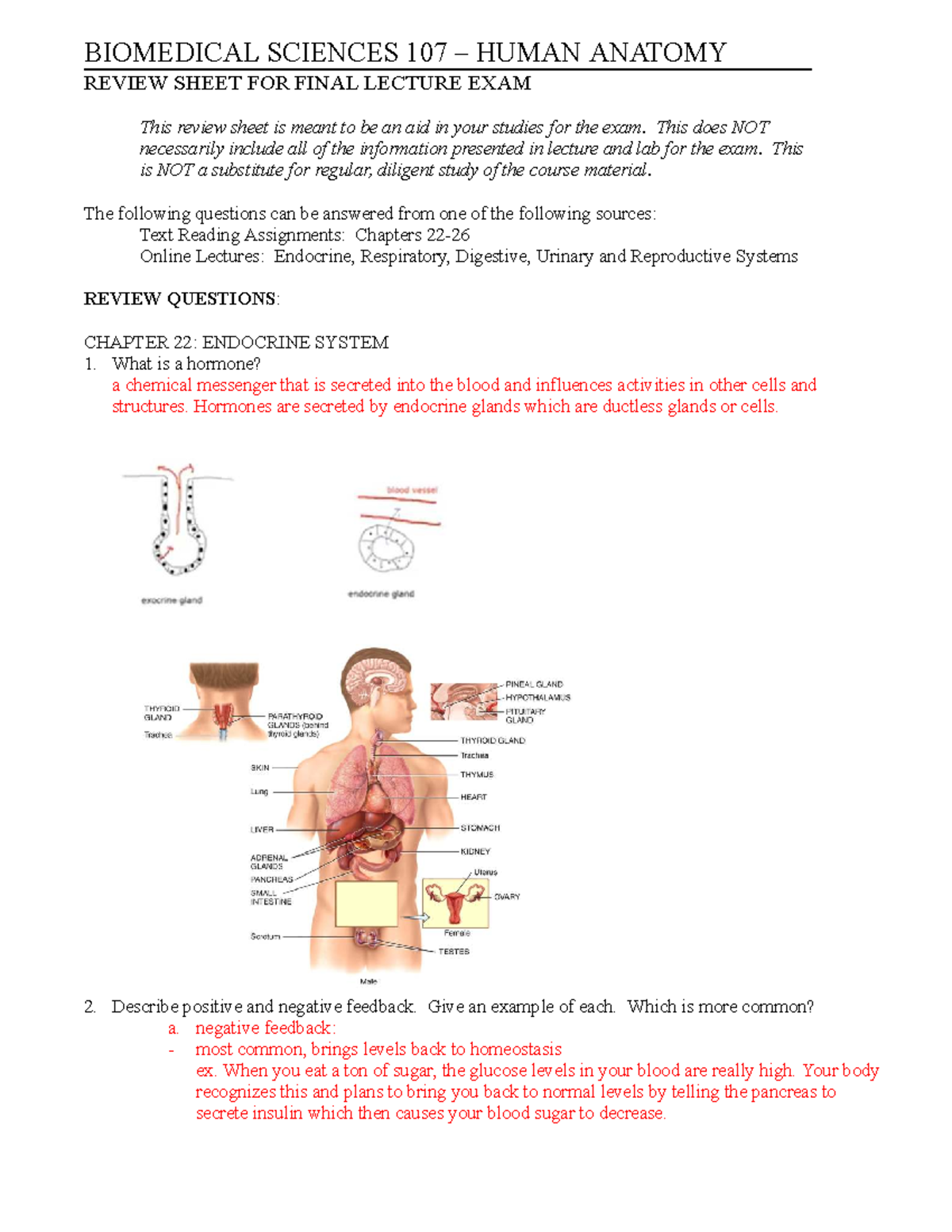 Study Guide: Human Anatomy Final Exam Review Sheet (BIOMEDICAL SCIENCES 107) - BIOMEDICAL ...