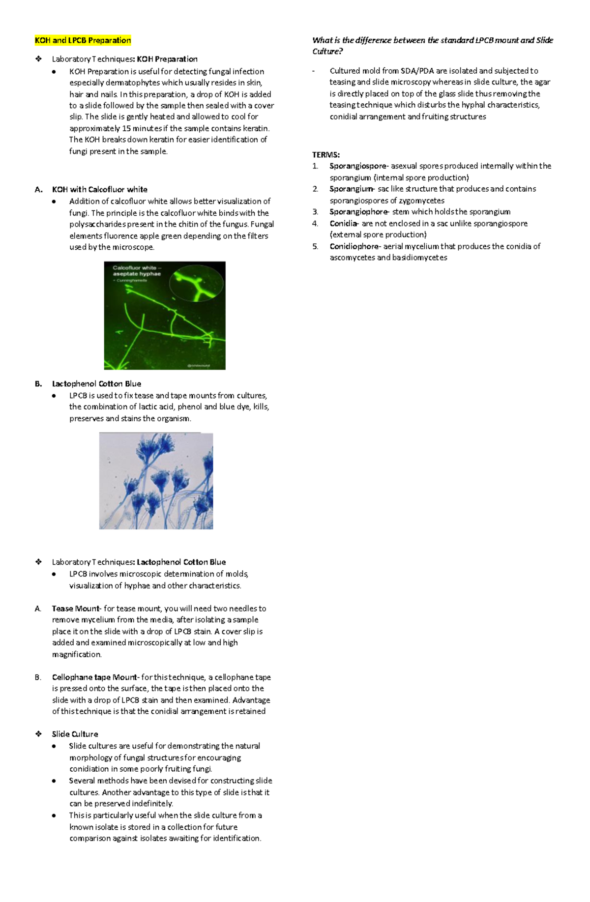 MYCV LAB Notes-3: KOH and LPCB Preparation Techniques - Studocu