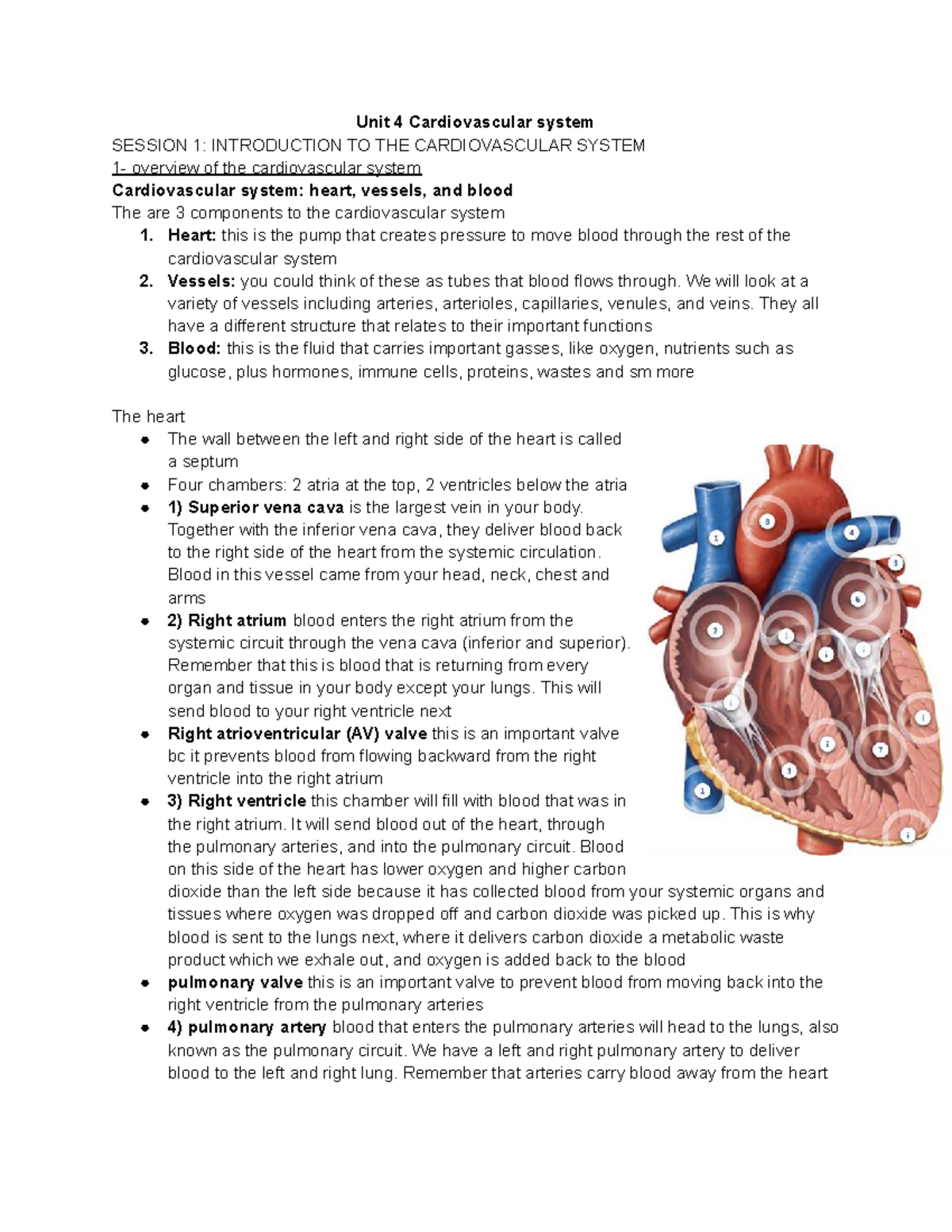 Unit 4 Cardiovascular System: Session 1 Overview and Key Concepts - Studocu