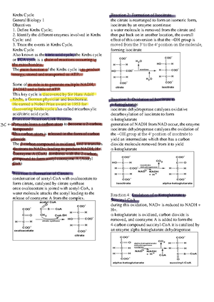 Org 4 functional key - BioChem - Biochemistry - Name: H H N Functional ...