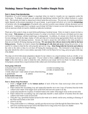 Negative Staining - lab - Staining: Negative Stain Introduction ...
