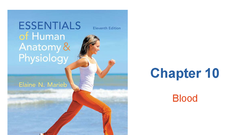 Chapter 10 Blood Lecture Notes - Patty Technical College - Studocu