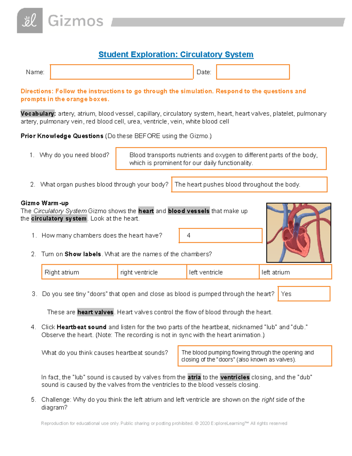 Circulatory System Gizmo Worksheet: Interactive Learning Guide - Studocu