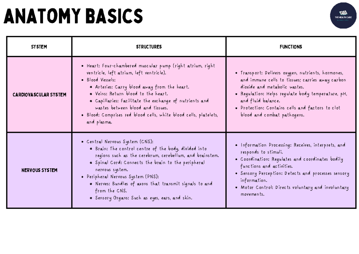 Anatomy freebie - Very helpful notes - System structures functions ...