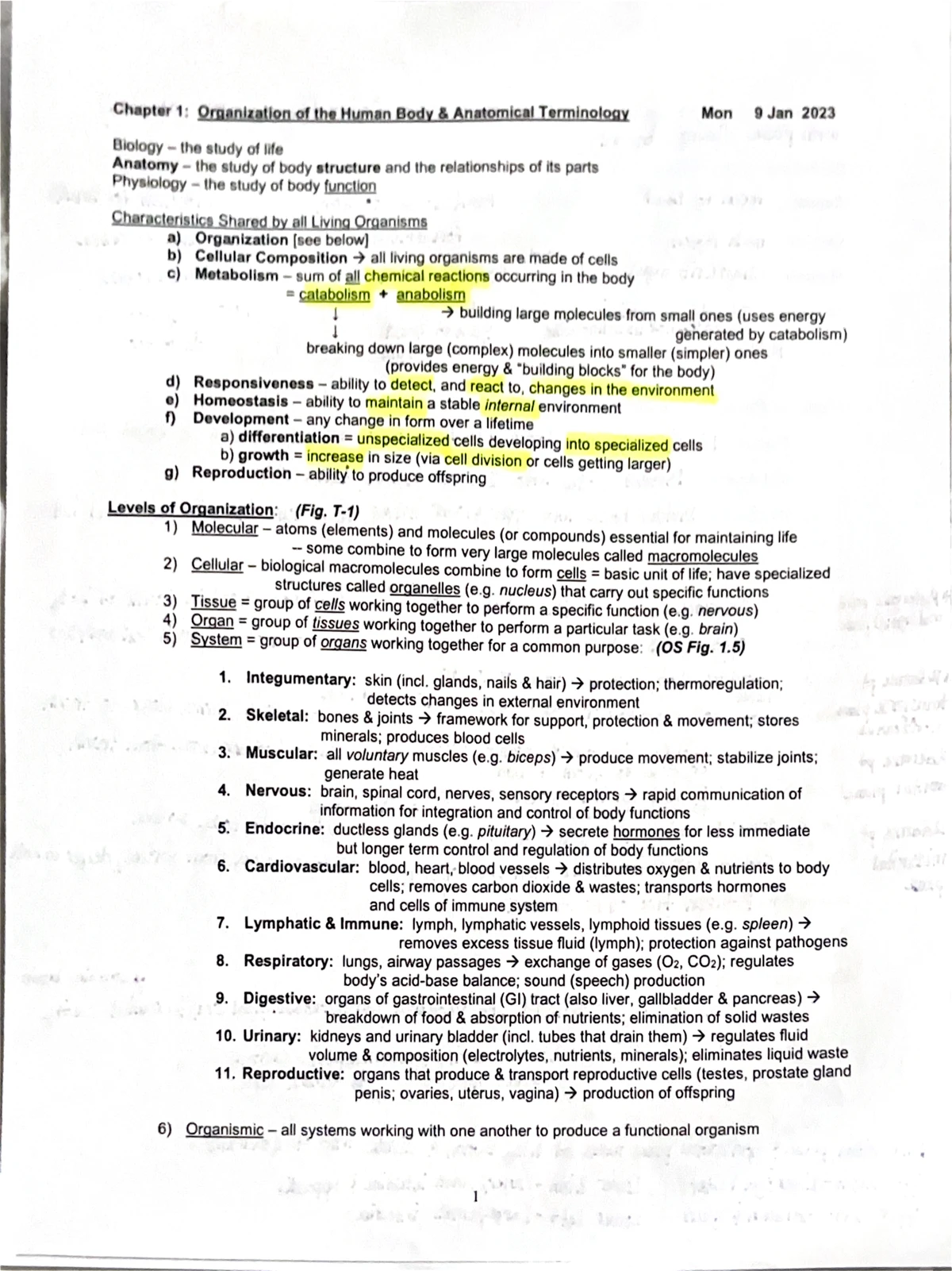 Anatomy foundations - Unit 1 lecture notes, organization of the human ...