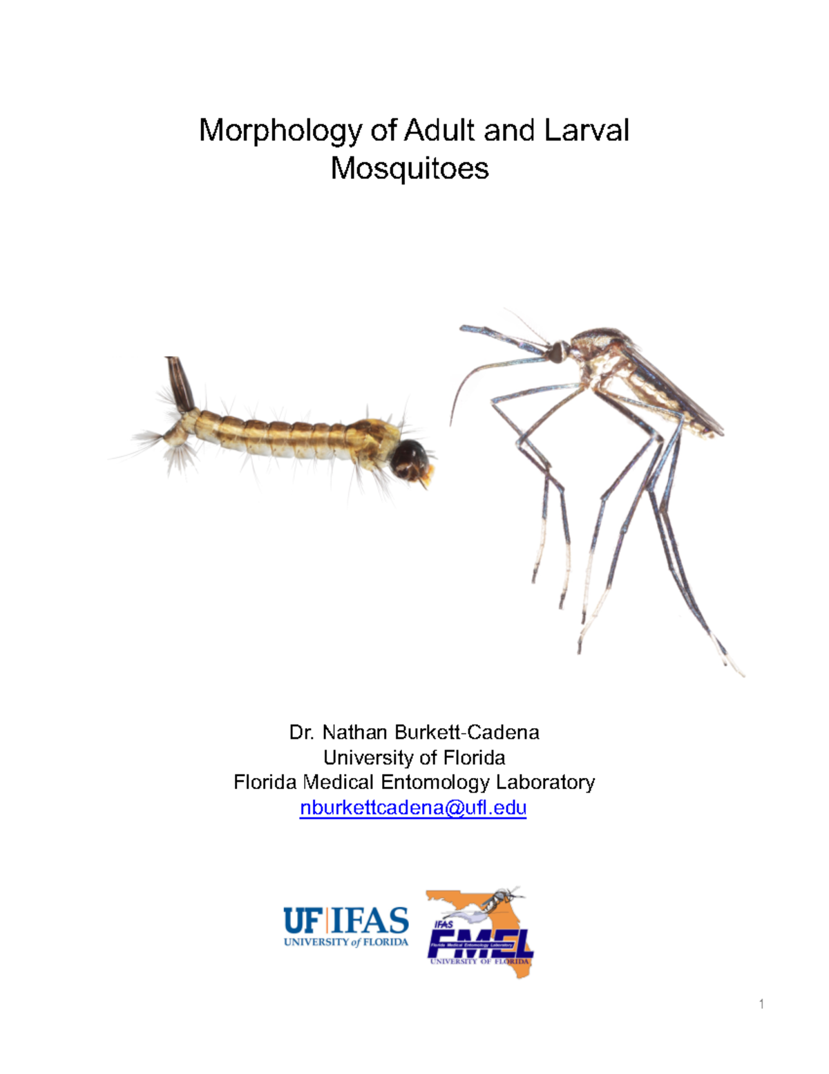 Final Exam Study Guide: Mosquito Morphology (ENY 4261) - Studocu