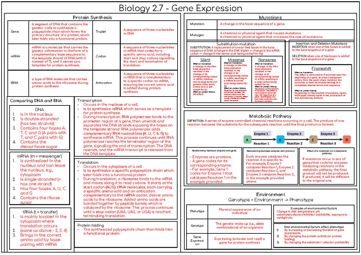 Biology 2.7 Gene Expression: Overview of Protein Synthesis and ...