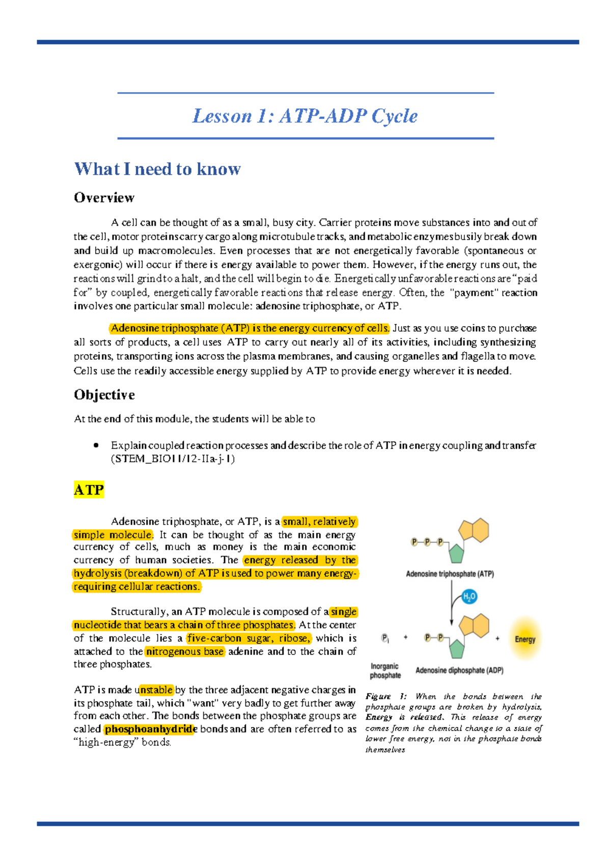 Lesson 1: ATP-ADP Cycle Overview and Key Concepts (STEM_BIO11/12-IIa-j ...