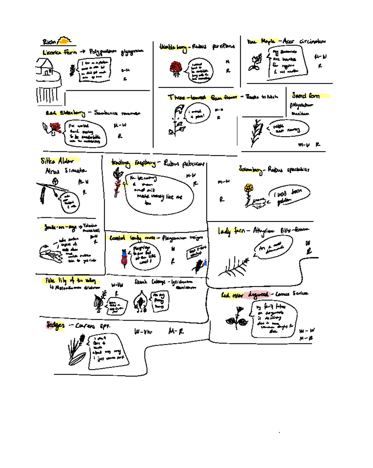 FRST 201 Lab Final Plant Identification Guide - Studocu