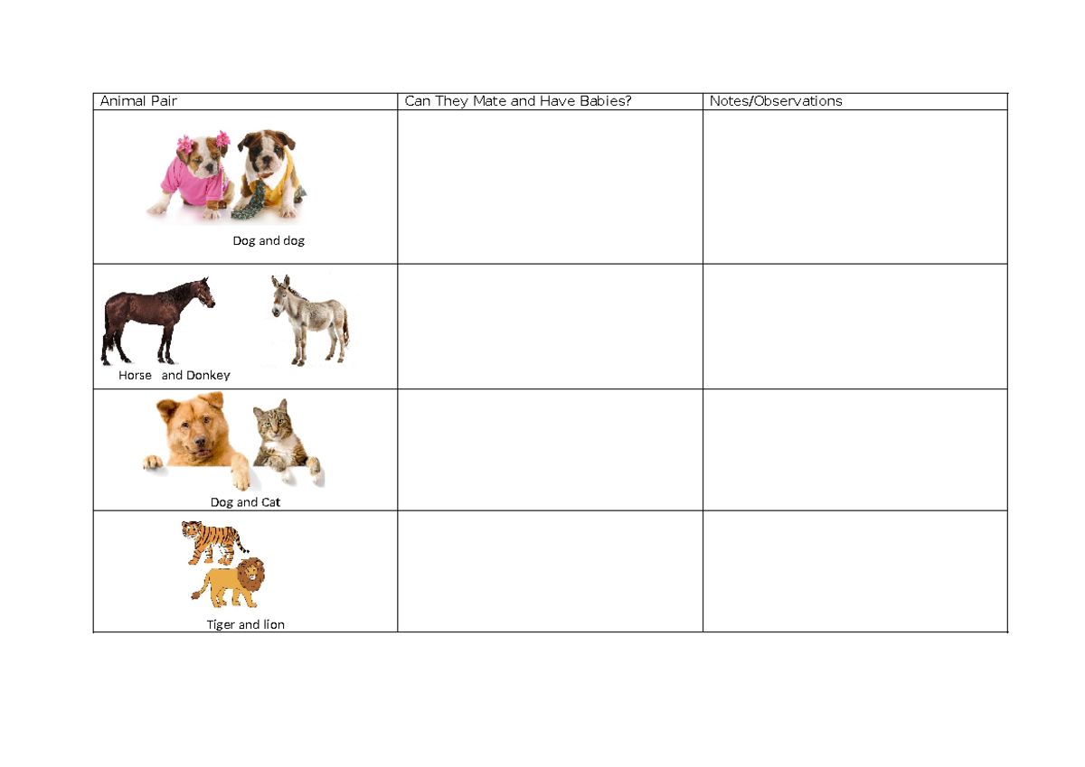 Animal Pair - Activity 1 - Bachelor of Secondary Education - Animal ...