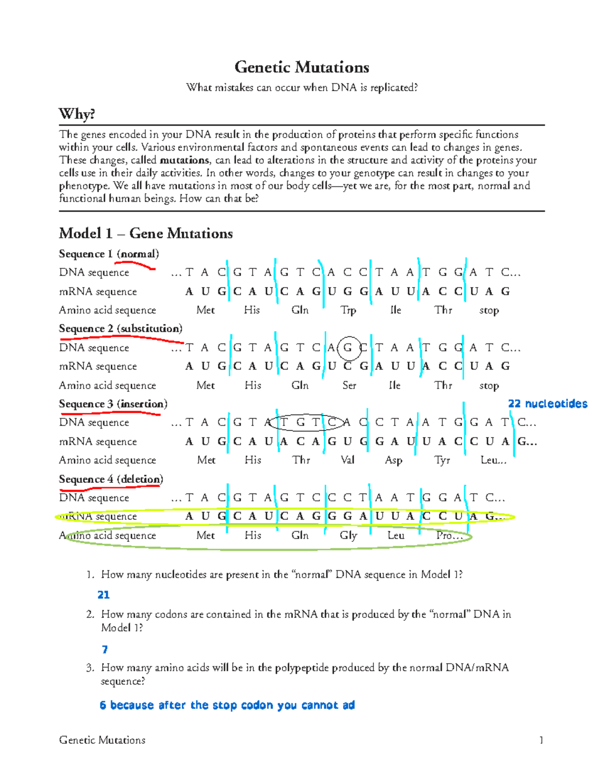 Genetic Mutations: Understanding DNA Replication Errors and Their Effects - Studocu