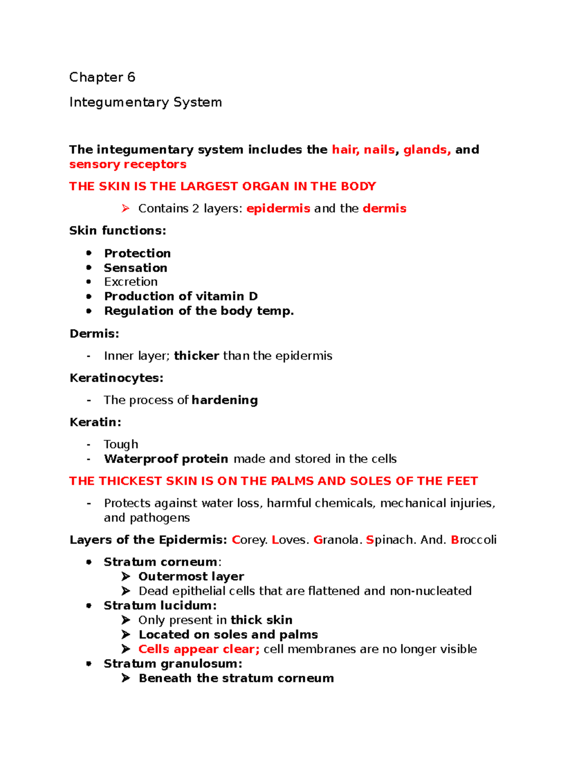 Ch.6 Integumentary System: Structure, Functions, and Skin Color Factors ...