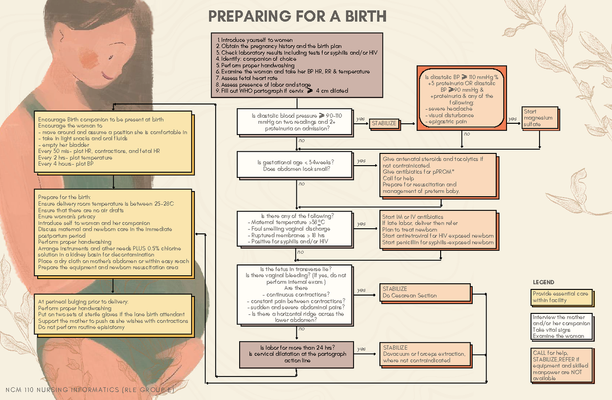 NCM 110 Nursing Informatics: Preparing for Birth Process Mapping - Studocu