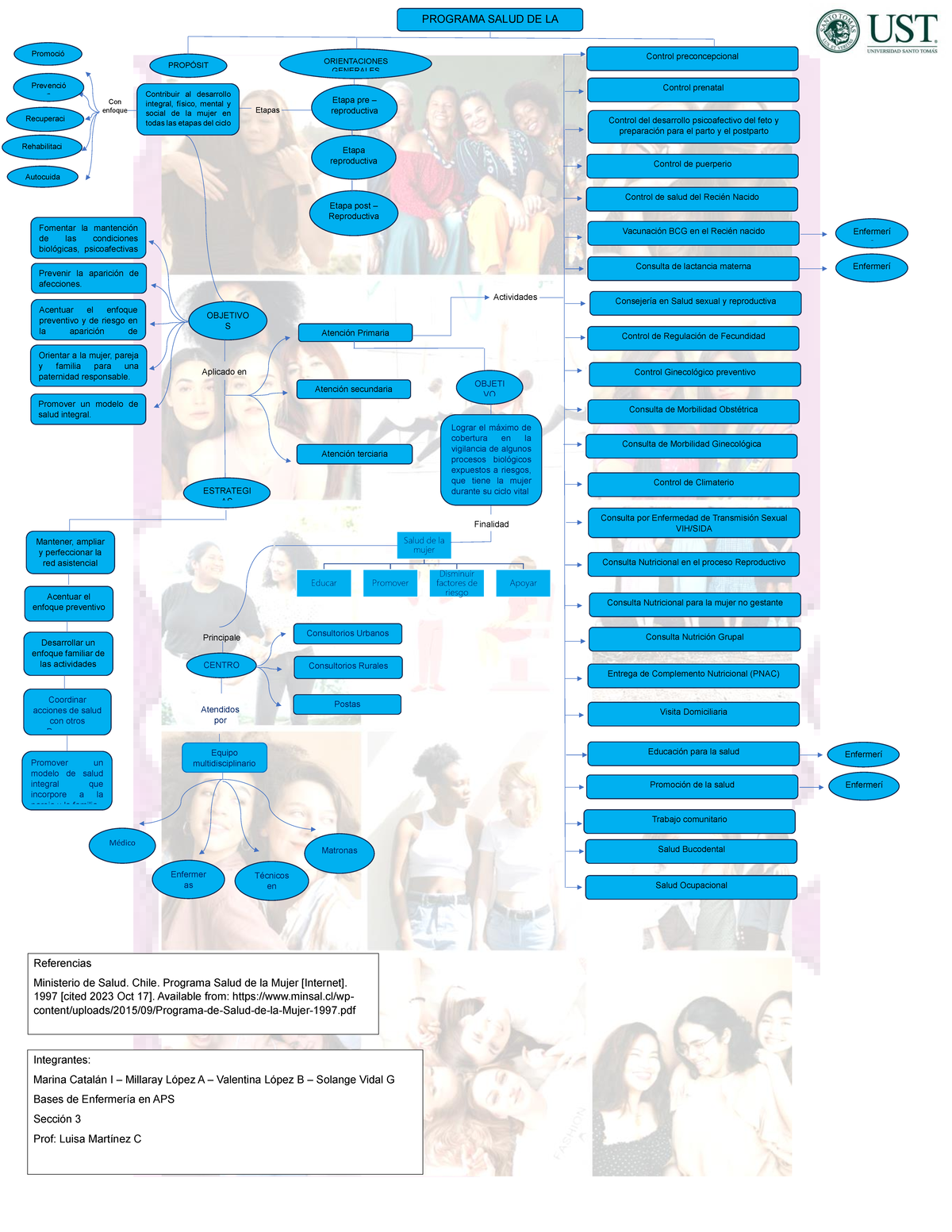 Mapa conceptual Programa de la Mujer APS - PROGRAMA SALUD DE LA MUJER Contribuir al desarrollo ...