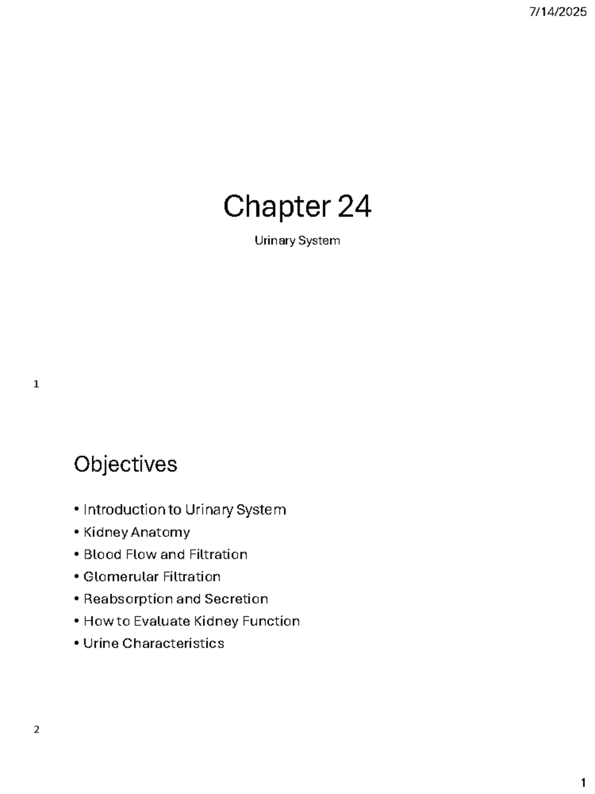 Chapter 24: Urinary System Overview - Anatomy, Function & Filtration ...