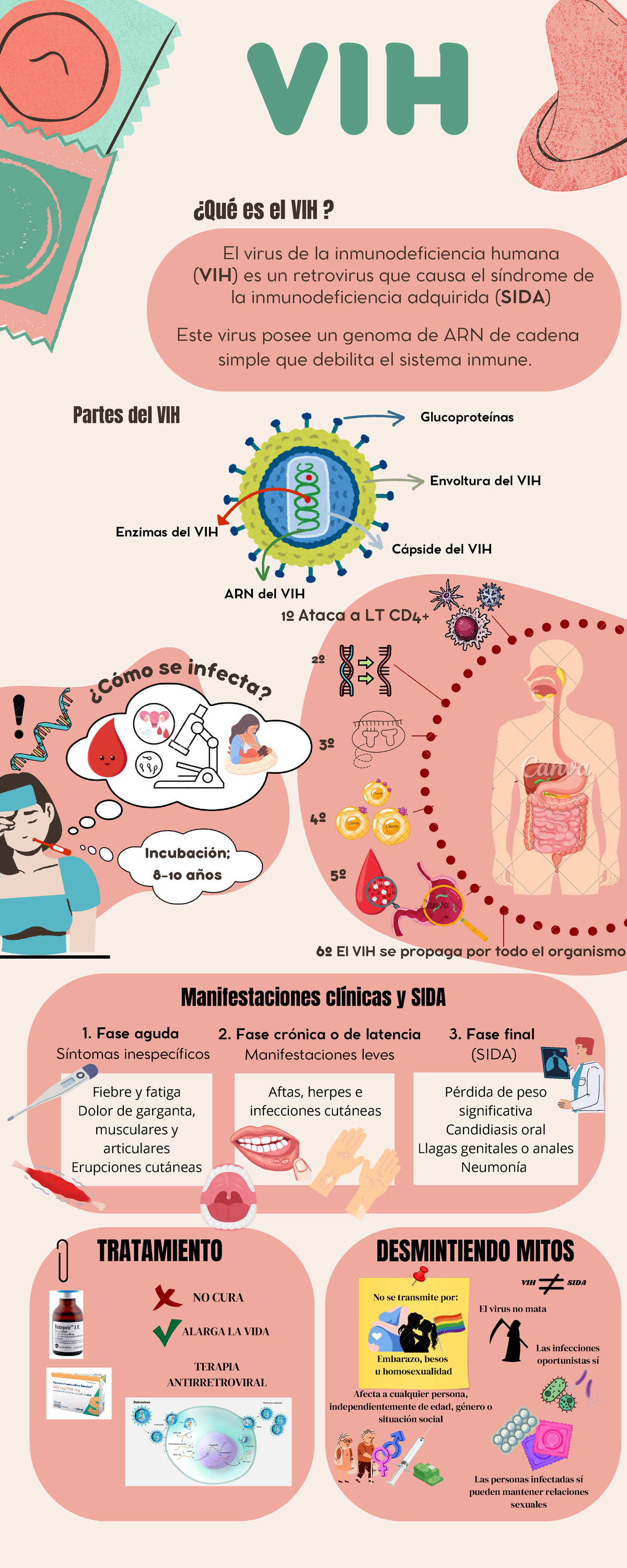 Infografía VIH esquemático - ####### El virus de la inmunodeficiencia ...