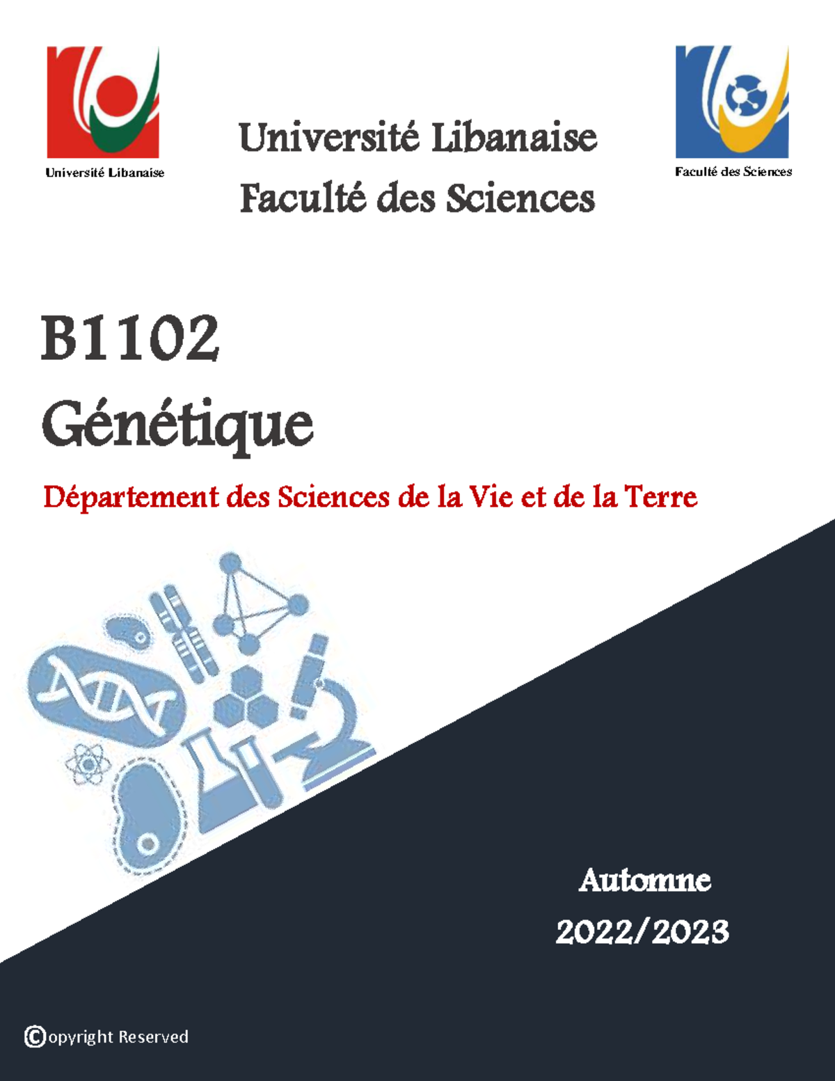 B1102 F-G - Summary Disabilità intellettiva e sindromi genetiche ...