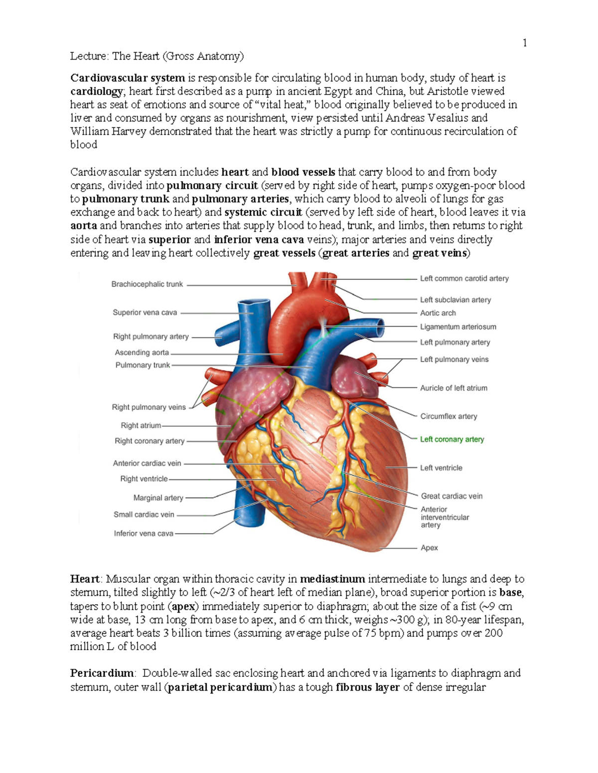 Lecture Notes: Cardiovascular Anatomy & Function (BIO-102) - Lecture ...