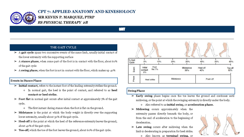 CPT 7: Applied Anatomy and Kinesiology - Understanding the Gait Cycle ...