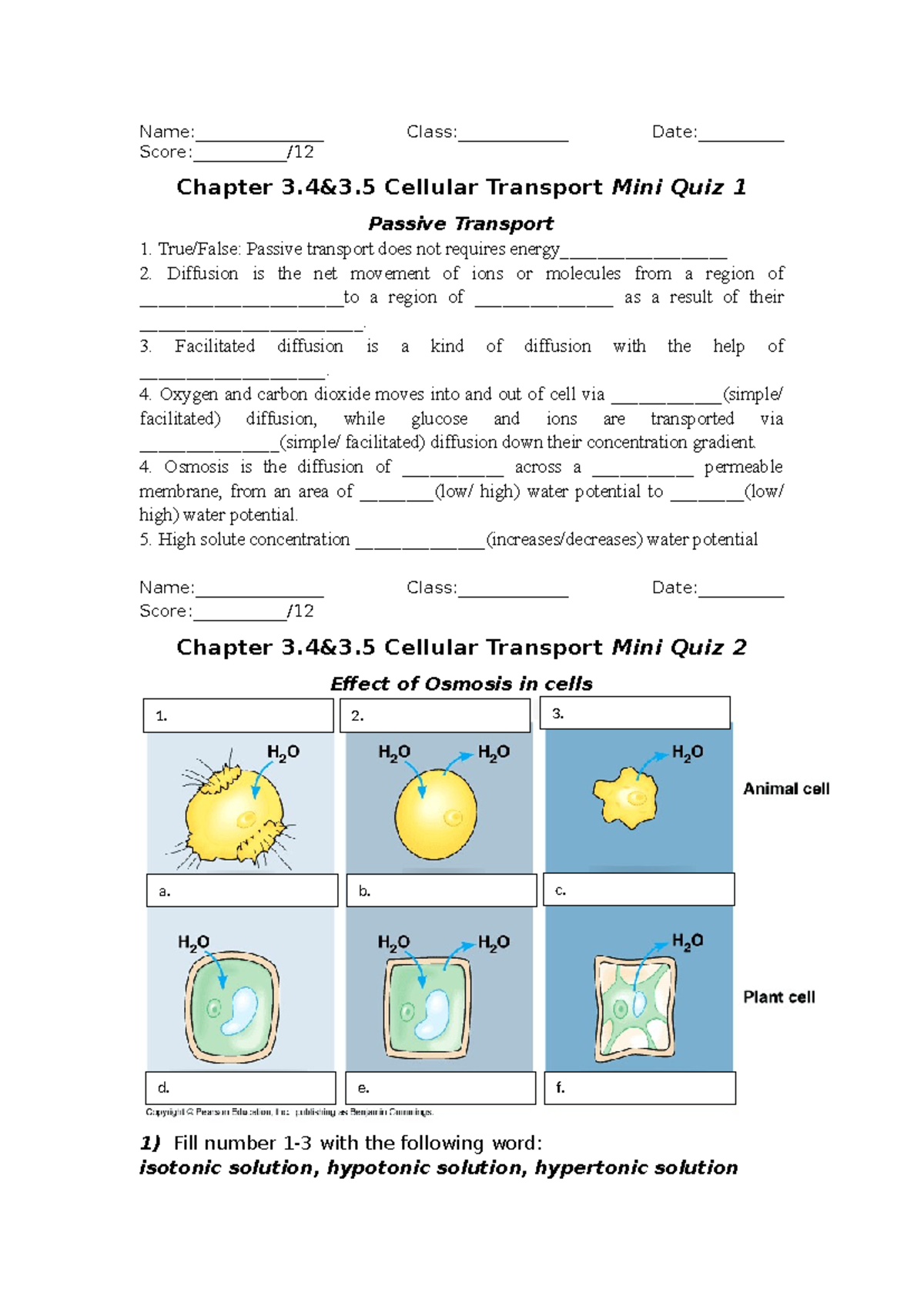 Chapter 3.4&3.5 Cellular Transport Mini Quiz on Passive Transport - Studocu