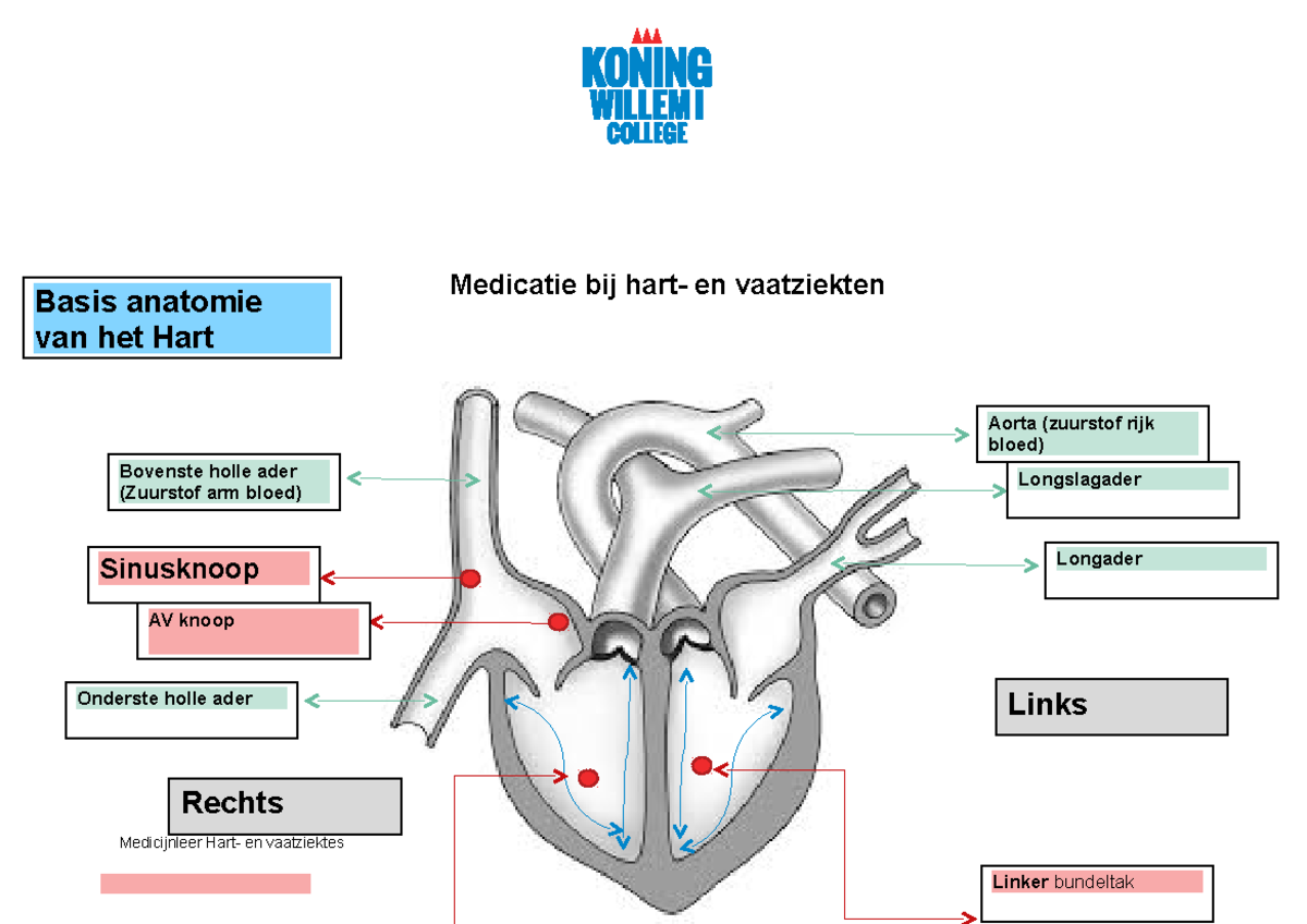 Medicatie Schema voor Hart- en Vaatziekten: Essentiële Inzichten ...