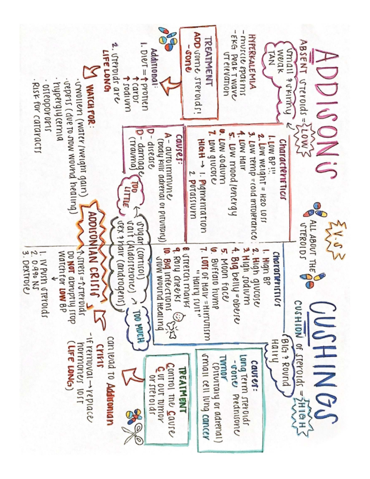 Addison's and Cushing's Syndrome Overview: Key Characteristics and ...