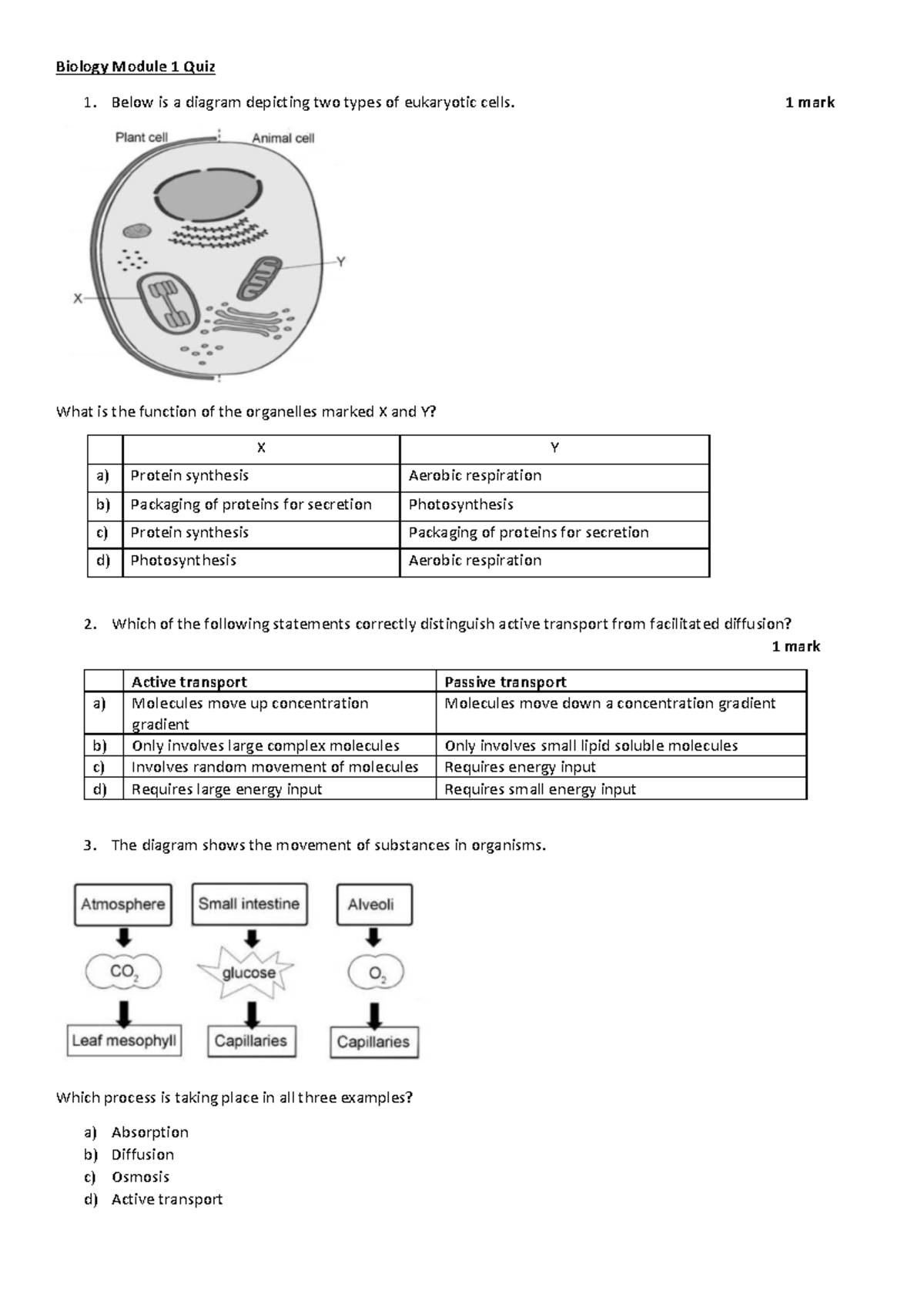 Biology Quiz Mod 1: Eukaryotic Cells & Transport Mechanisms - Studocu