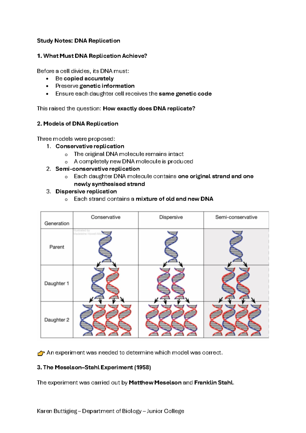 Study Notes: DNA Replication - Studocu