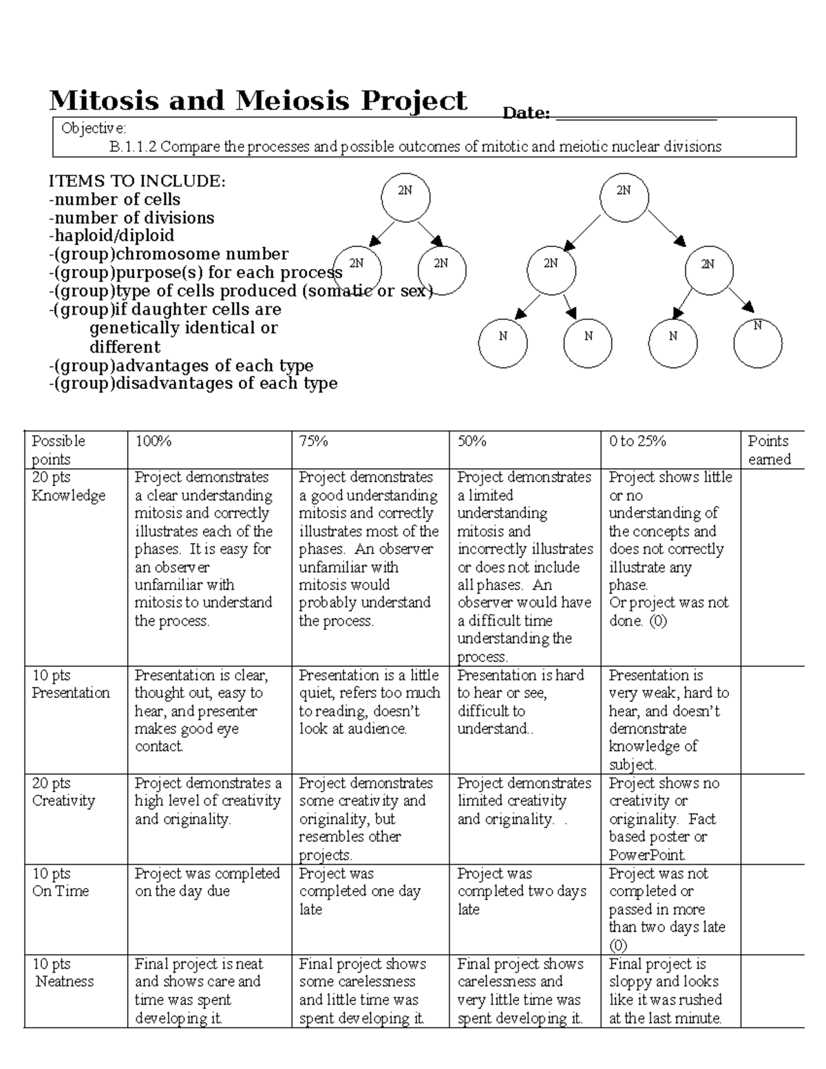 Mitosis & Meiosis Project - Key Comparisons and Outcomes Analysis - Studocu