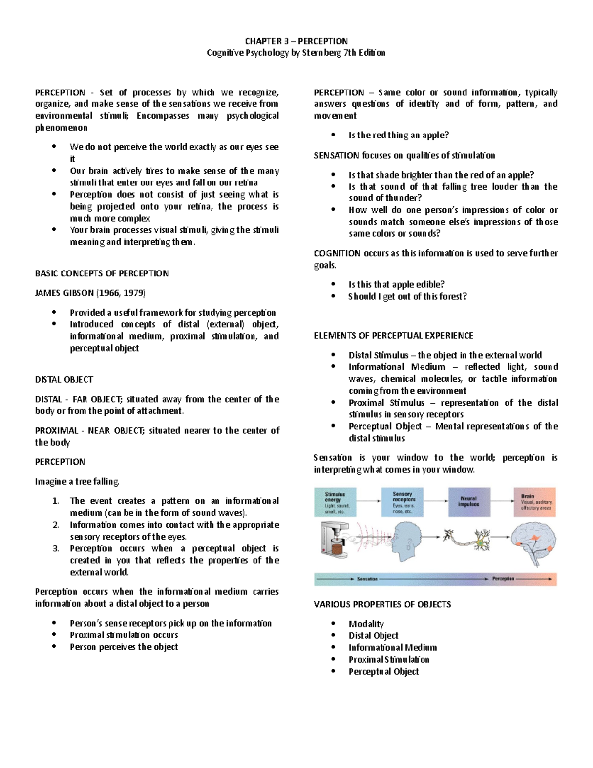 Chapter 3: Perception Concepts Review (Cognitive Psychology) - Studocu