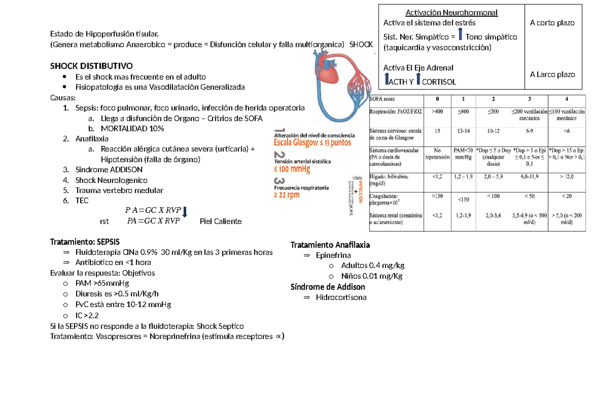 Tipos de Shocks - Estado de Hipoperfusión tisular. (Genera metabolismo ...