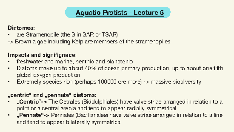 Protist and Plants 4 - Fall Semester - Lecture 5: Diatoms and ...
