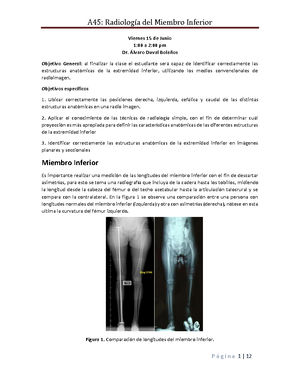 A34 - Compartimentos musculares del brazo y antebrazo - Dr. Daniel ...