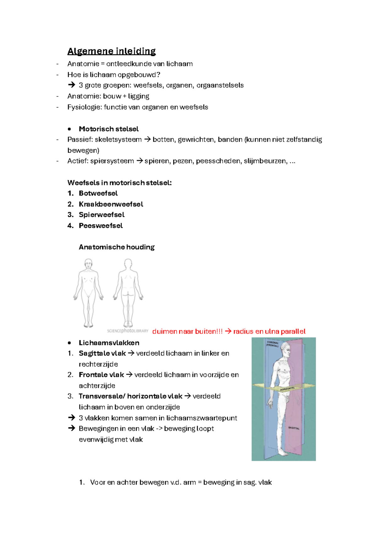 Algemene inleiding anatomie - Algemene inleiding Anatomie ...