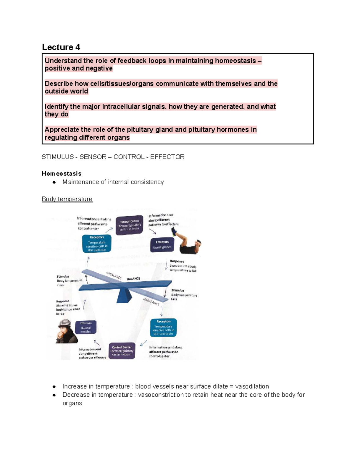 L4W2S1 Homeostasis & Signalling: Feedback Loops & Hormonal Control ...