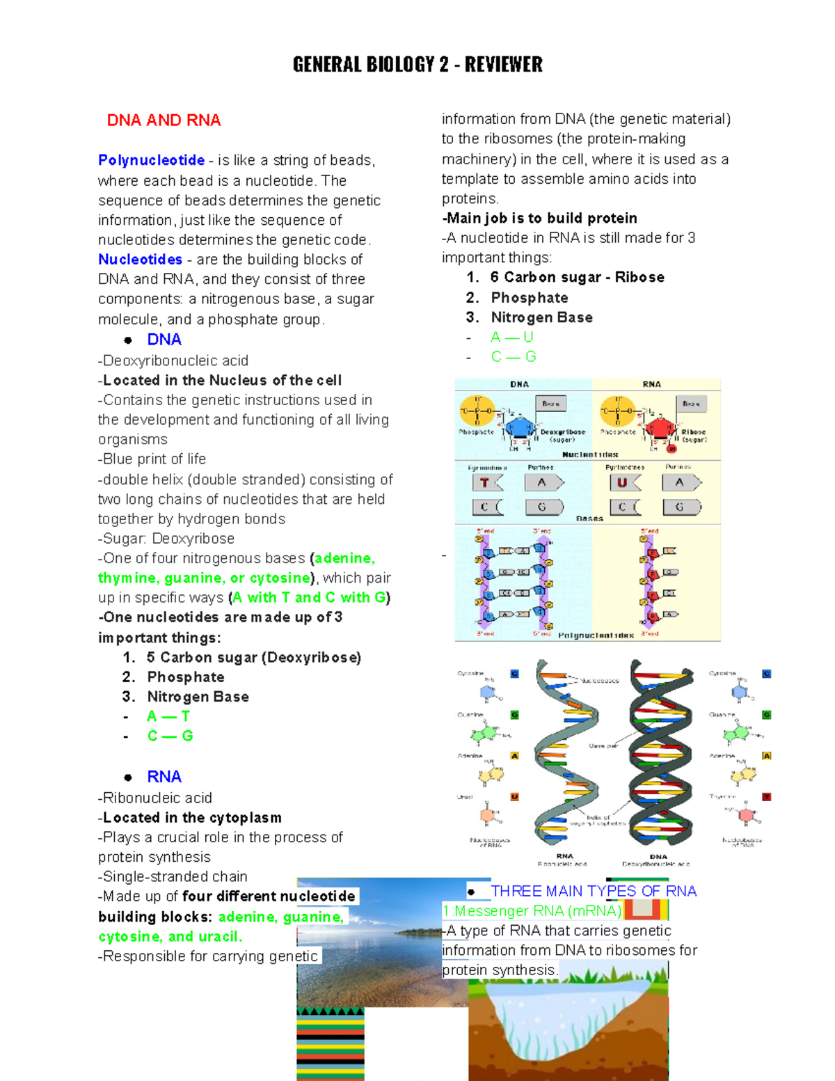 General Biology 2 - DNA & RNA Final Exam Reviewer - Studocu