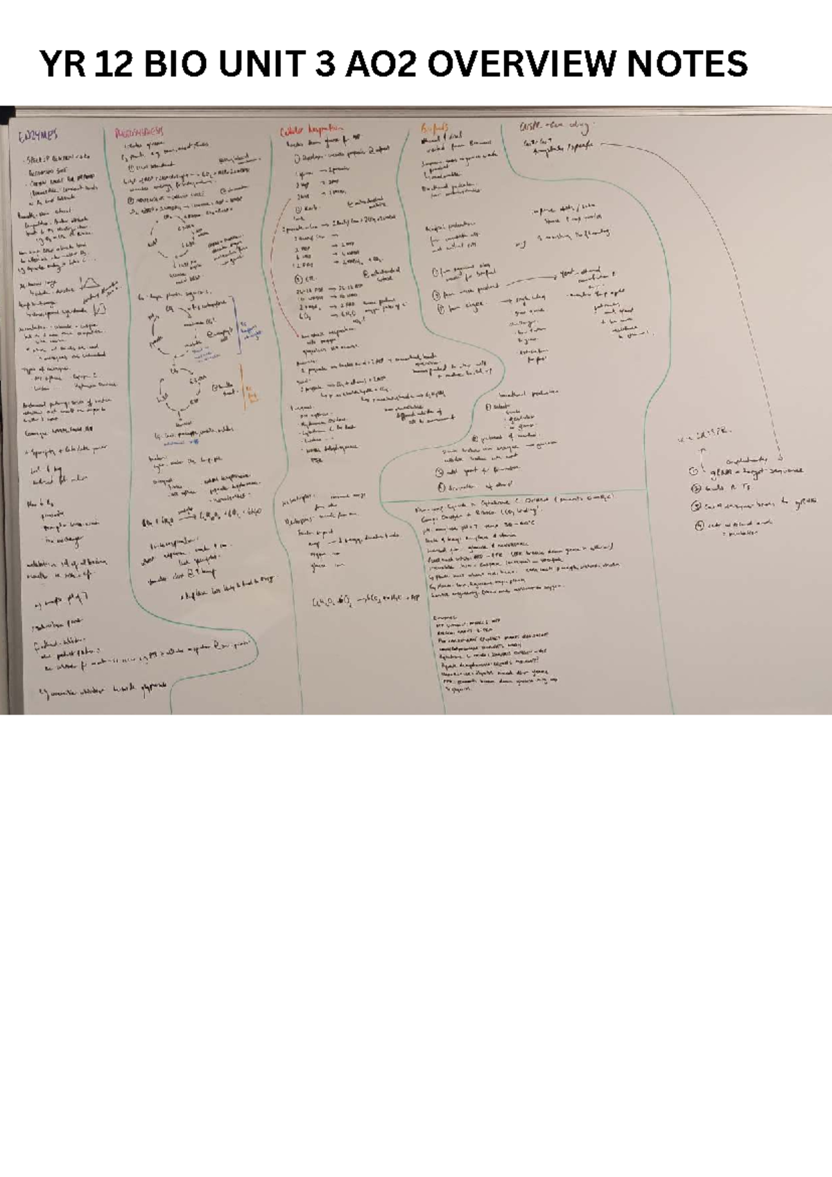 YR 12 BIO UNIT 3 AO2 Overview Notes - YR 12 BIO UNIT 3 AO2 OVERVIEW ...