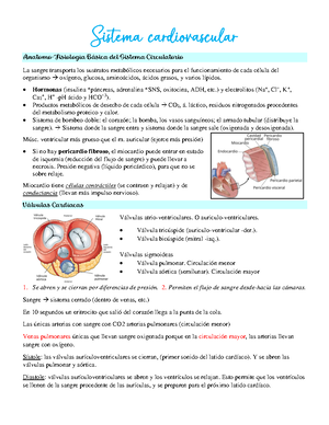 Anatomía Y Fisiología DEL Aparato Reproductor DEL TORO - ANATOMÍA Y ...