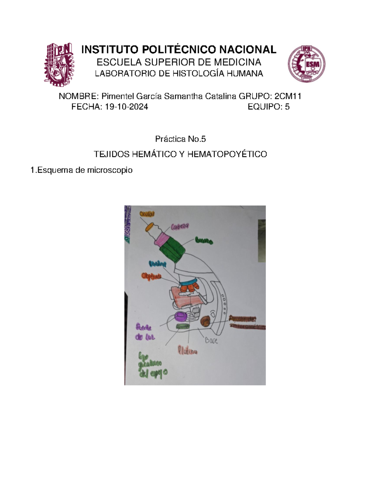 Práctica 5 Esquemas-1 - Practicas - INSTITUTO POLITÉCNICO NACIONAL ESCUELA SUPERIOR DE MEDICINA ...