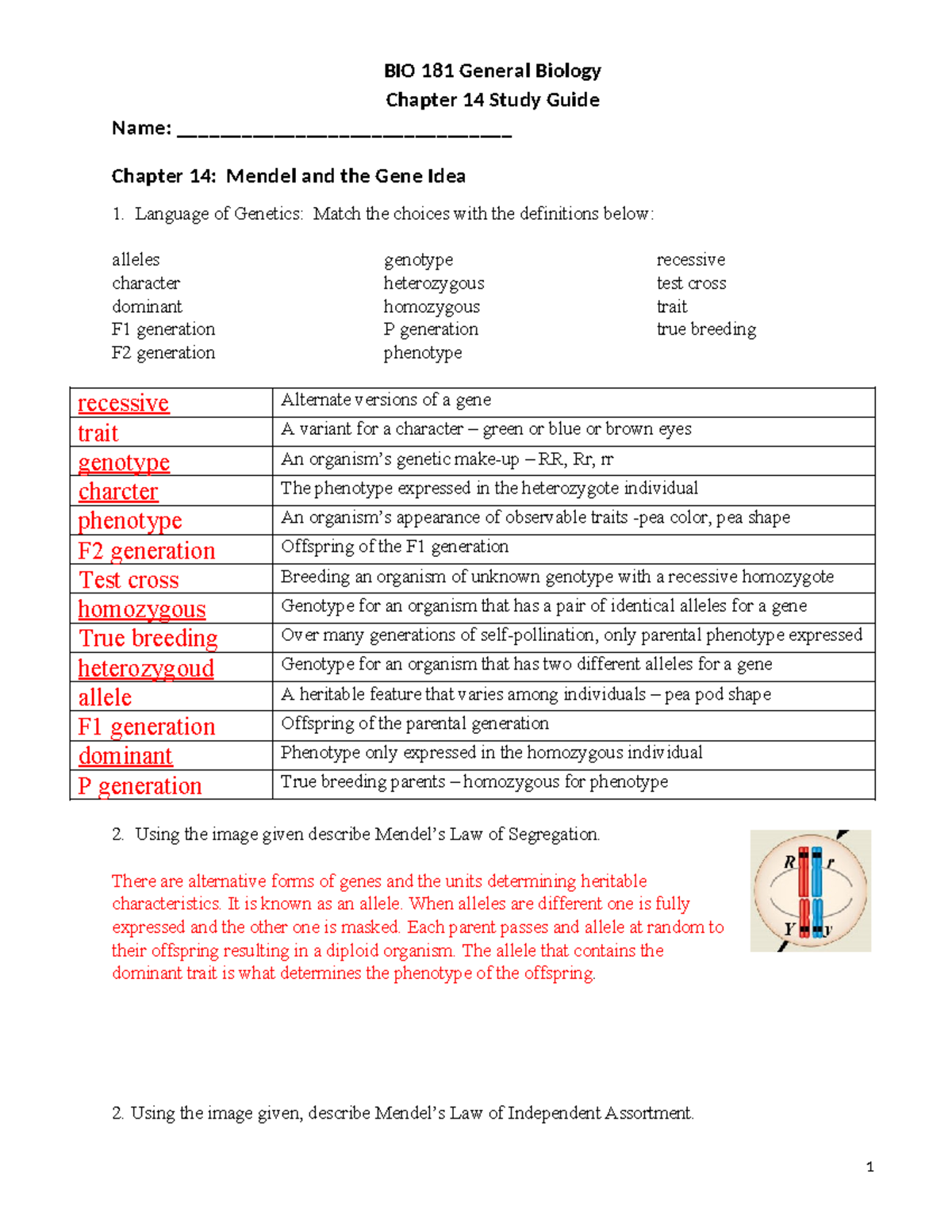 Chapter 14 Study Guide - Mendel and Gene Idea (BIO 181 F23) - Studocu