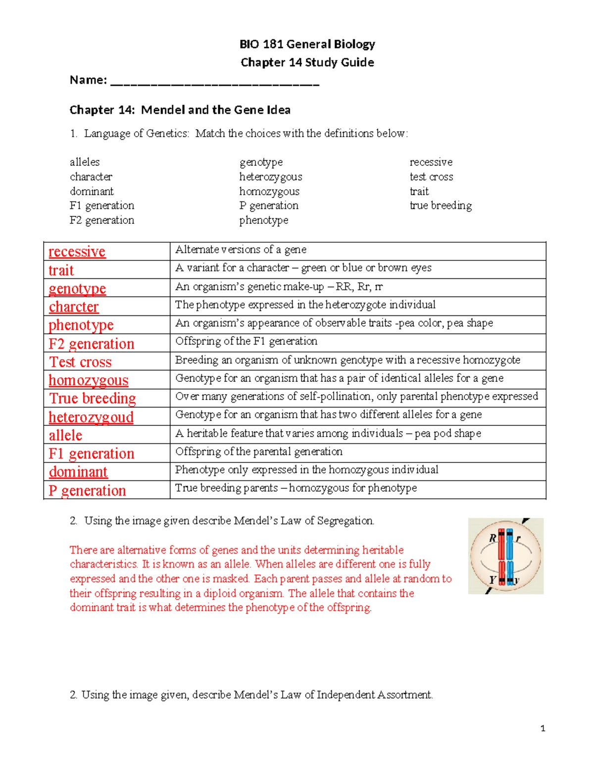BIO 181 Chapter 14 Study Guide: Mendel and Gene Concepts - Studocu
