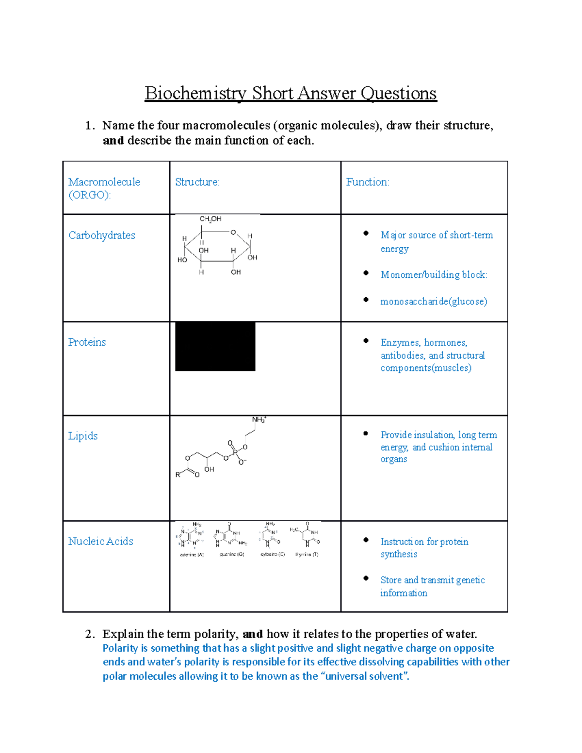 Biochemistry (BIO 101) Short Answer Questions Overview and Answers ...