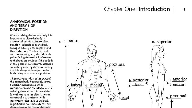Chapter 1: Anatomical Position & Directional Terms - KAPLAN - Studocu