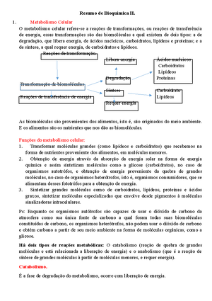 Protocolo de Registro - WISC IV - ESCALA WECHSLER DE INTELIGENCIA PARA ...