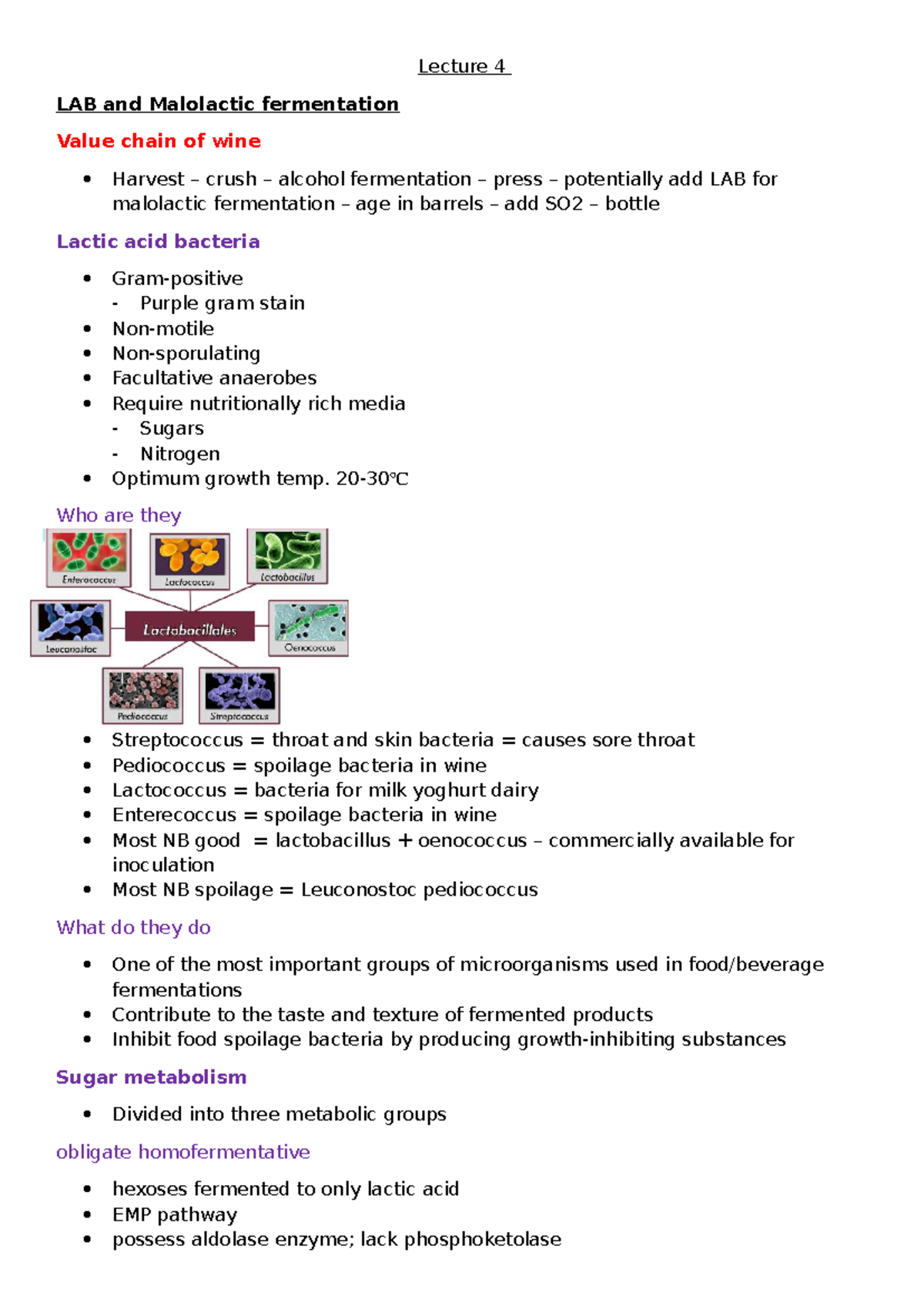 Lecture 4: LAB & Malolactic Fermentation in Wine Production - Studocu