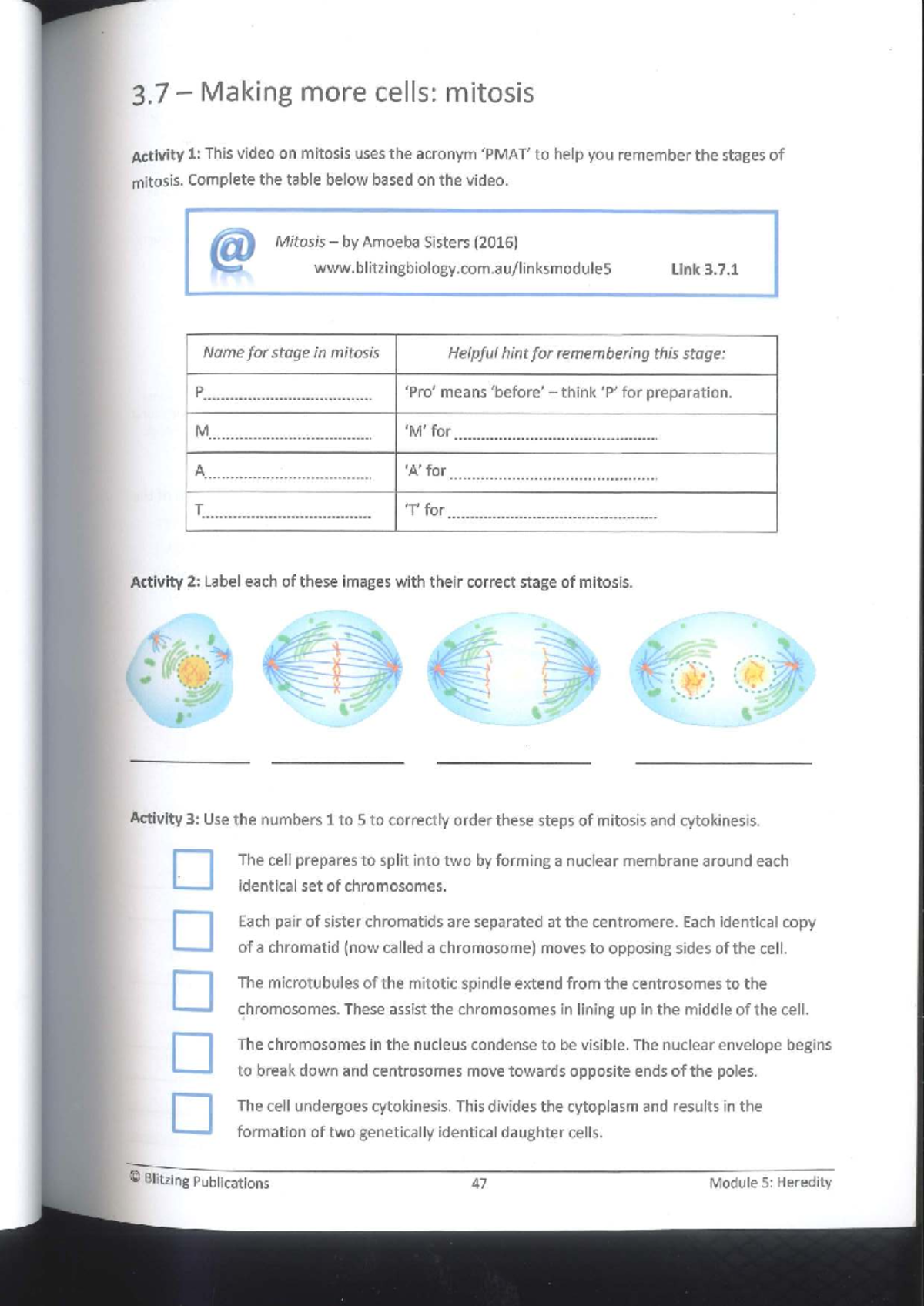 3.7 Mitosis Stages & Steps: Activity Guide for Module 5 - Studocu