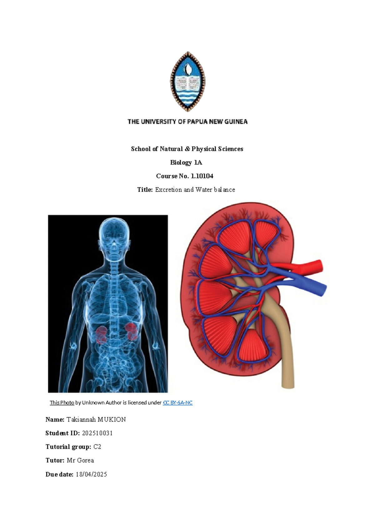 Biology 1A Practical Report: Excretion & Water Balance Analysis - Studocu