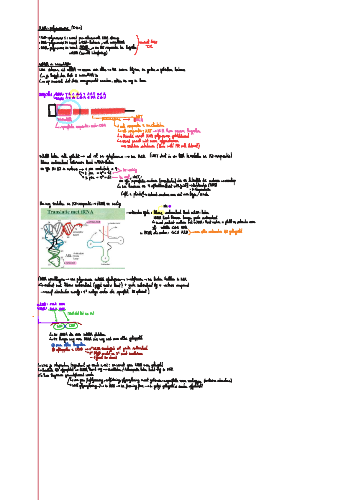 RNA Synthese en Translatie: Cyto 9 (1e Bach Revaki) - Studocu