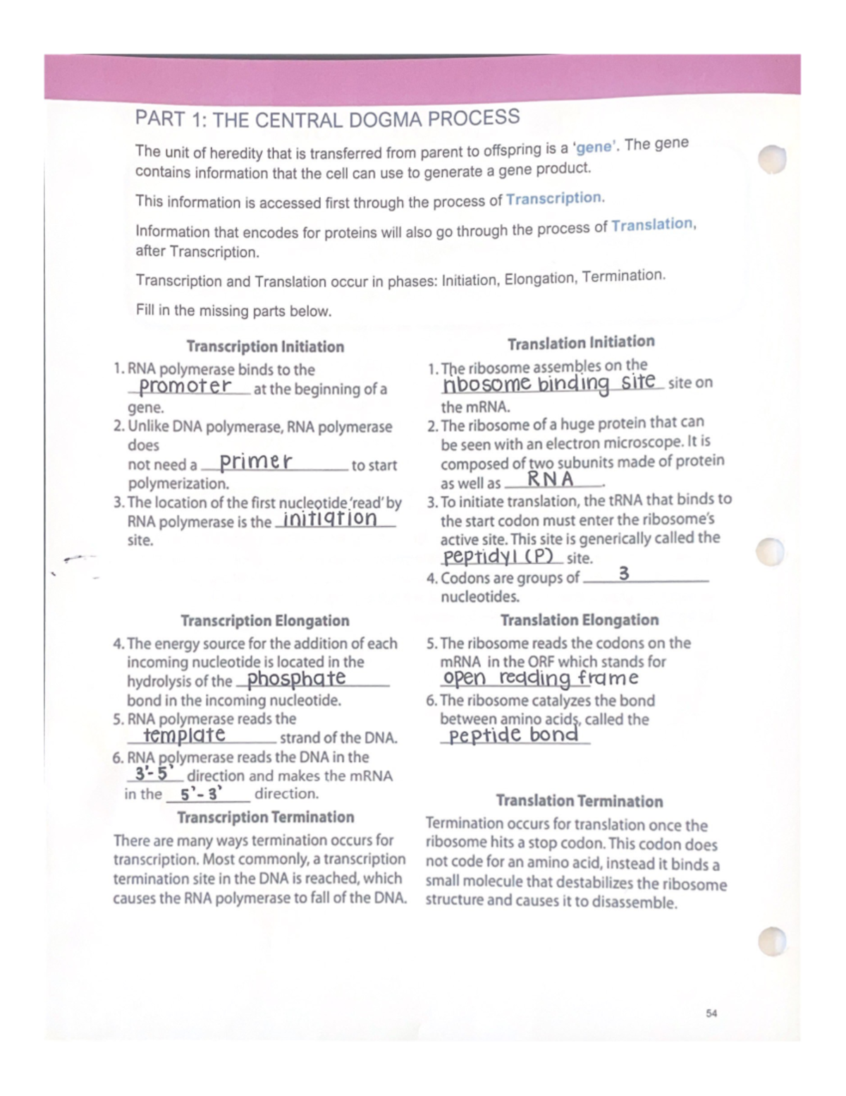 Cental Dogma Manual Discussion 6 - PART 1: THE CENTRAL DOGMA PROCESS ...